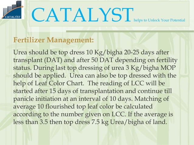 Submergence tolerent rice varieties in Bangladesh | PPT | Agriculture ...