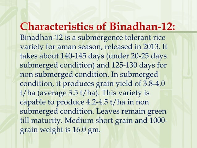 Submergence tolerent rice varieties in Bangladesh | PPT | Agriculture ...