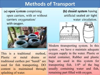 Trasportation of fish seed. | PPTX