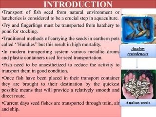 Trasportation of fish seed. | PPTX