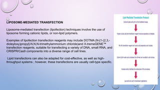 Transfection in animal cells through chemical methods like Calcium ...