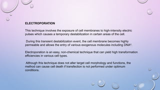 Transfection in animal cells through chemical methods like Calcium ...