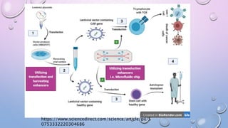 Transfection in animal cells through chemical methods like Calcium ...