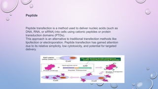 Transfection in animal cells through chemical methods like Calcium ...