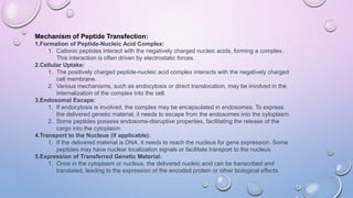 Transfection in animal cells through chemical methods like Calcium ...