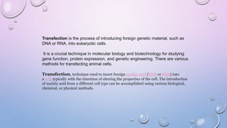 Transfection in animal cells through chemical methods like Calcium ...