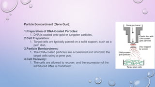 Transfection in animal cells through chemical methods like Calcium ...