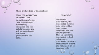 Transfection in animal cells through chemical methods like Calcium phosphate precipitation ...