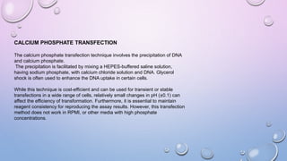 Transfection in animal cells through chemical methods like Calcium ...