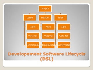 System Management of Software Delivery Excelence | PPT