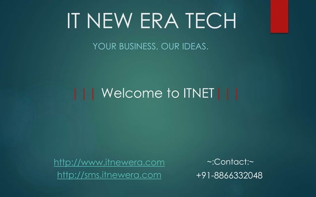 Website Demo Presentation | PPTX