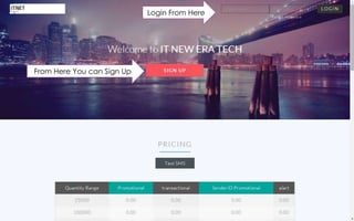 Website Demo Presentation | PPTX