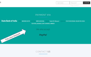 Website Demo Presentation | PPTX
