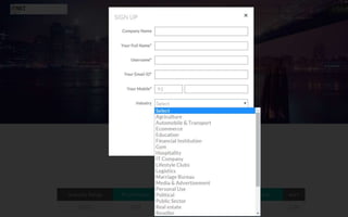 Website Demo Presentation | PPTX