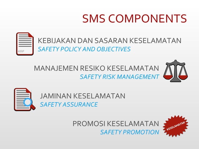 Safety Management Systems - Workshop - DGCA SAG Members | PPT