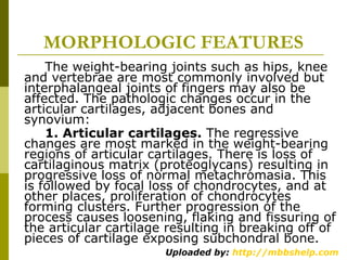Pathology of the Musculoskeletal Muscles Elaborate | PPT