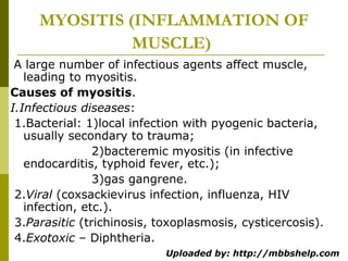 Pathology of the Musculoskeletal Muscles Elaborate | PPT