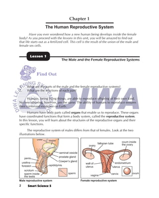 Smart Science Grade 5 | PDF