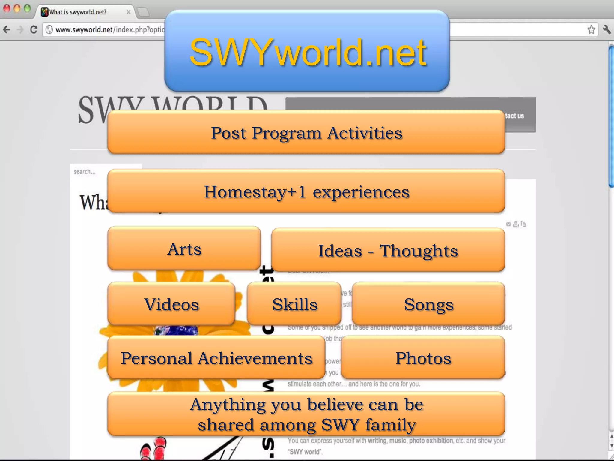 Social Media & SWY | PPT