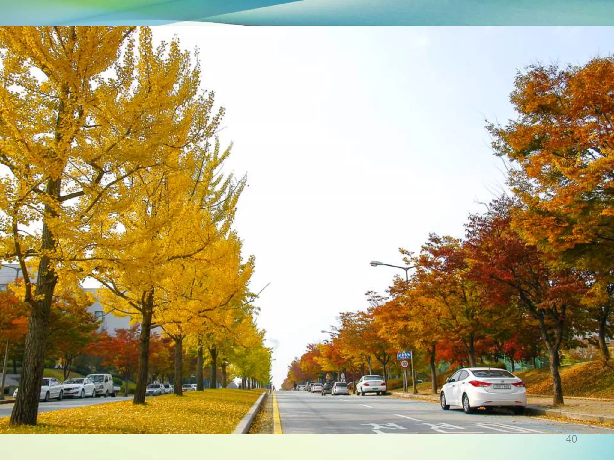 Introducing Sunmoon University | PPTX