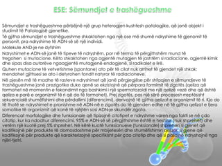 Sëmundjet gjenetike | PPTX
