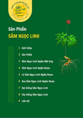Sản phẩm Sâm Ngọc Linh - Cty CP Sâm Việt Linh | PDF