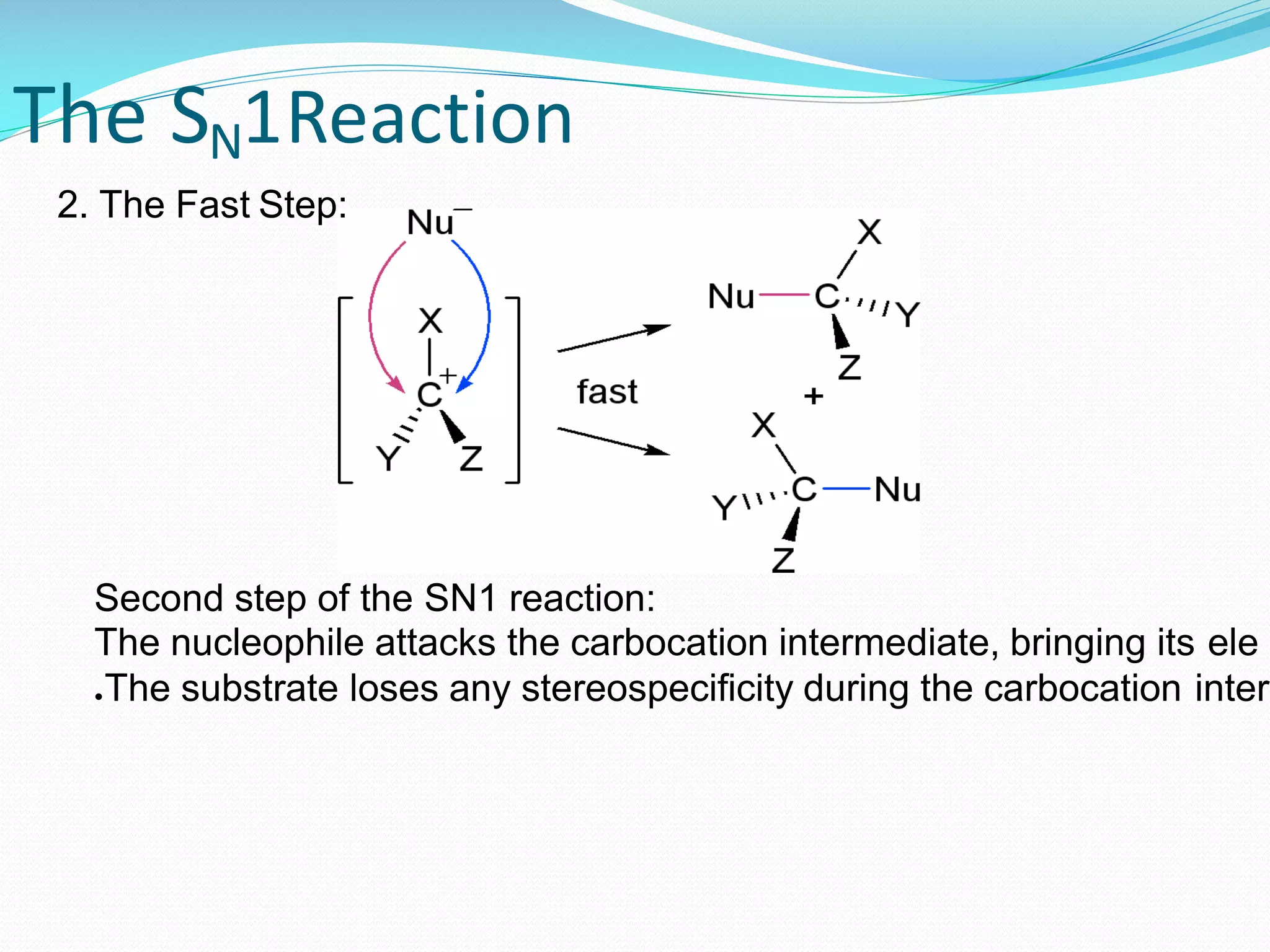 Sn1 and sn2 reaction | PDF