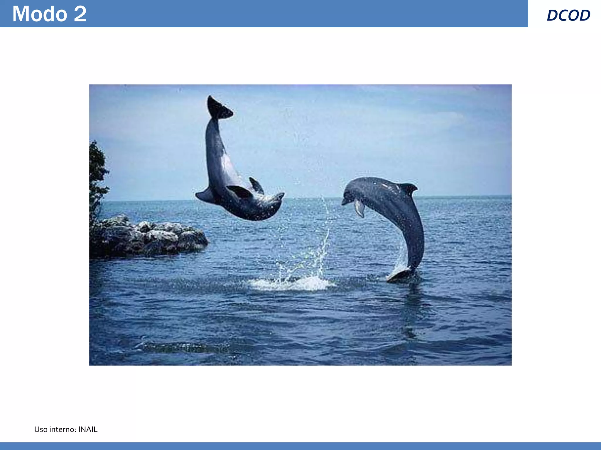 Sna cloud brokering - cardinale ciccotti | PPT