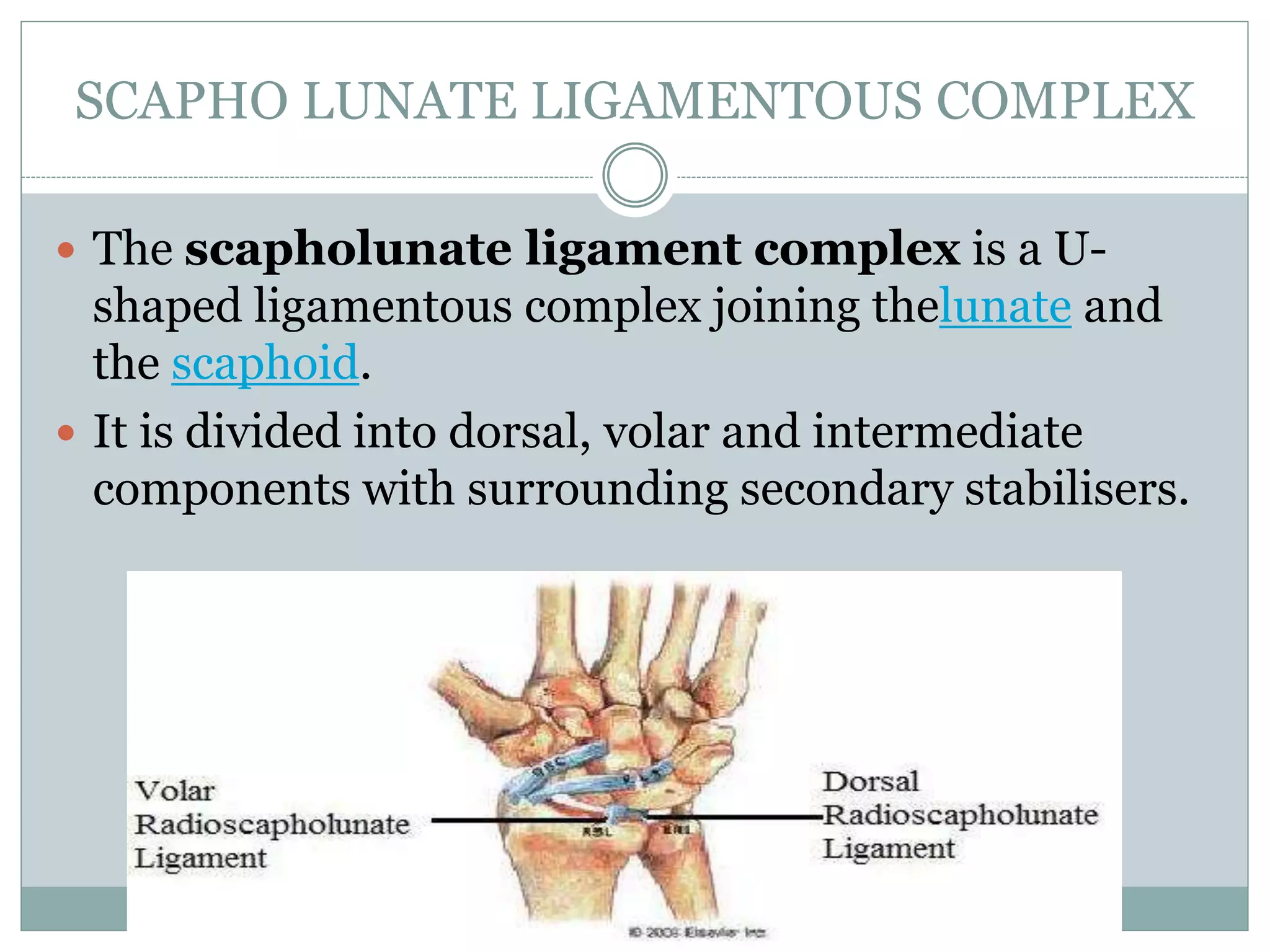 SLAC & SNAC WRIST | PPTX