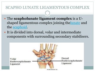 SLAC & SNAC WRIST | PPT