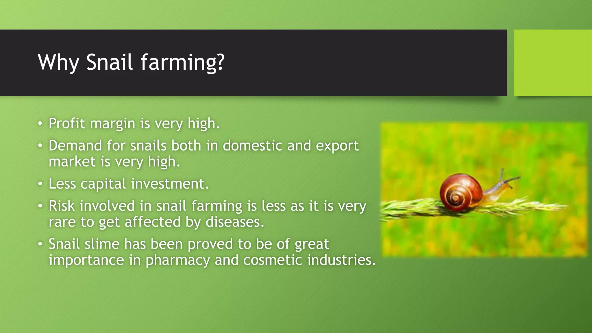 Snail farming heliciculture | PPTX