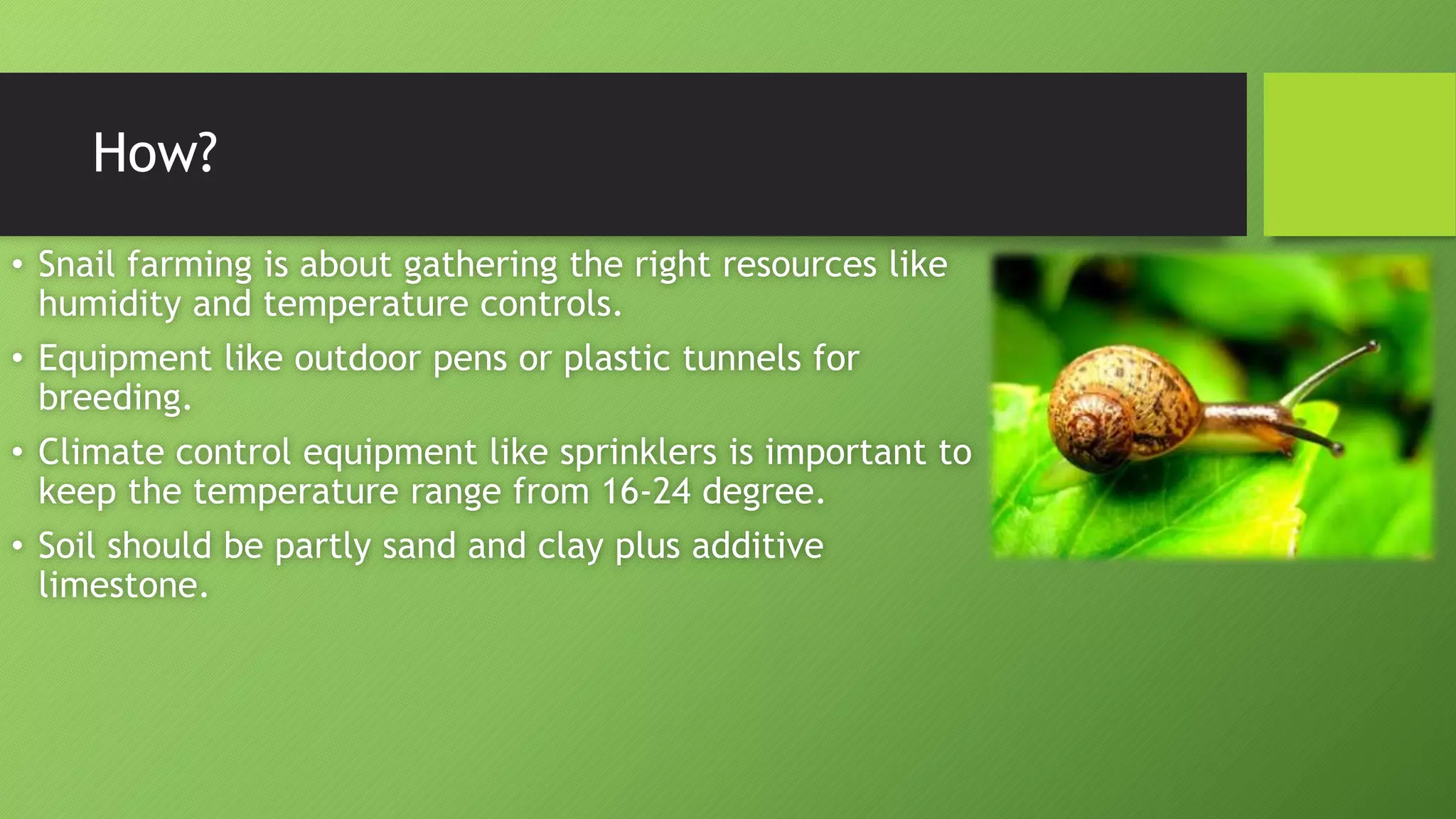 Snail farming heliciculture | PPTX