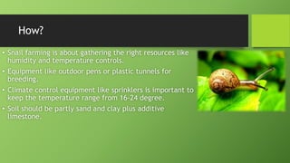 Snail farming heliciculture | PPTX