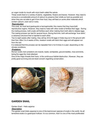 Snails biology | PDF