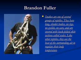 Snake | PPT | Reptiles | Pets