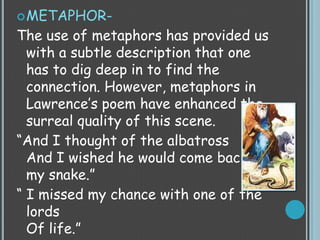 Snake by D.H. Lawrence | PPT