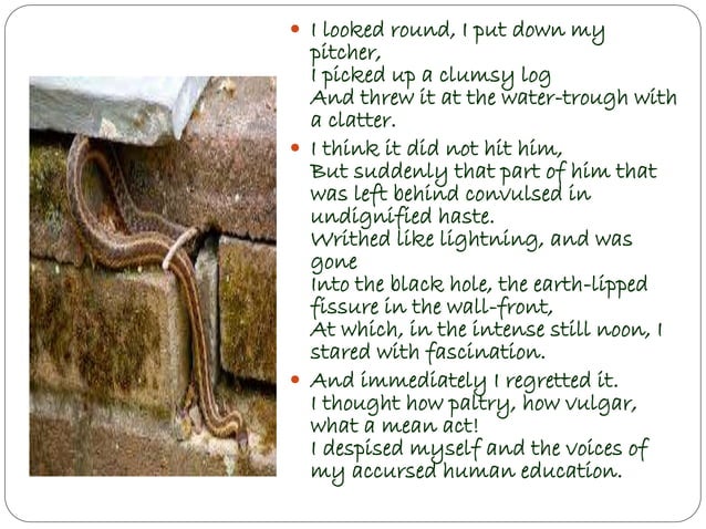 Snake by D H Lawrence | PPTX