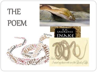Snake by D H Lawrence | PPTX