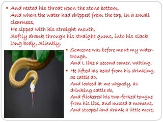 Snake by D H Lawrence | PPTX