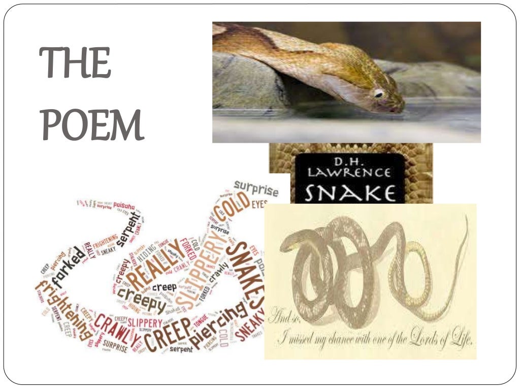 Where Is Alliteration Used In Poem Snake By Dh Lawrence? – SIKY
