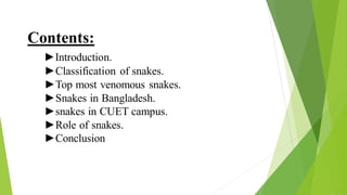 Snake | PDF | Reptiles | Pets