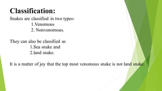 Snake | PDF | Reptiles | Pets