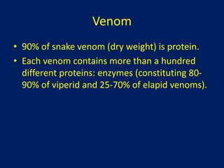 Snake | PPT