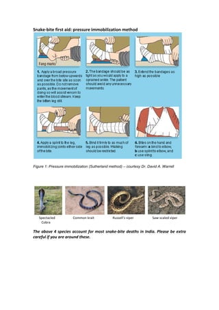 Snake bite first aid INDIA | PDF