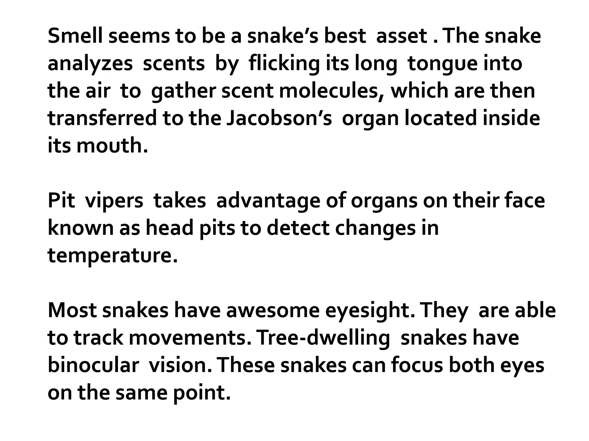 Snakes | PPTX