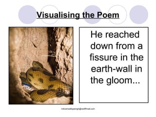 Snake--Class X | PPT