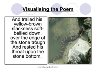 Snake--Class X | PPT