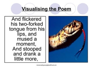 Snake--Class X | PPT