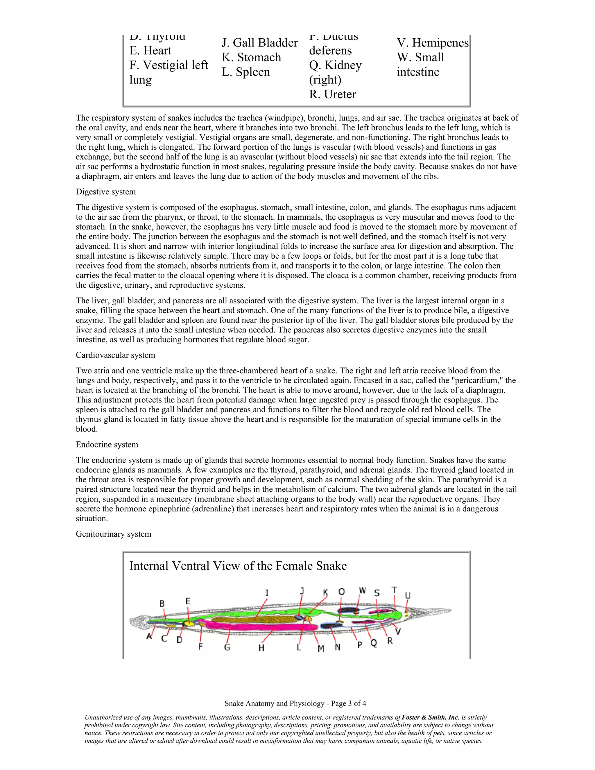 Snake anatomy and_physiology | PDF