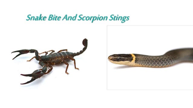 Snake Bite and Scorpion Stings,(Kurdistan)